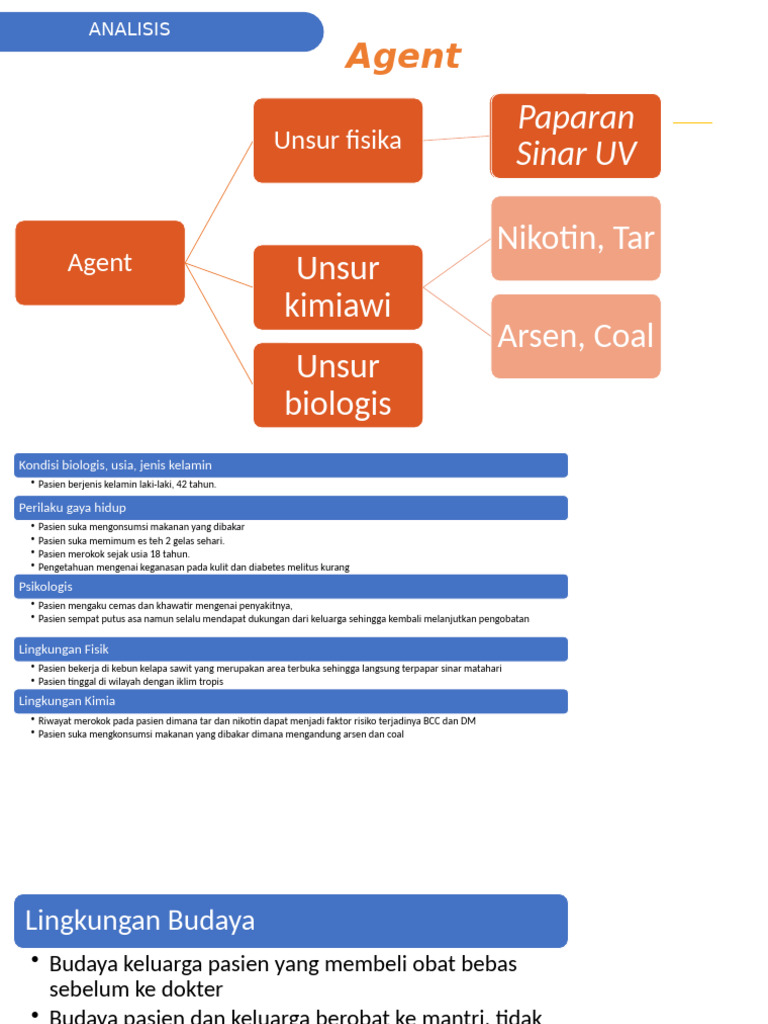 Agent Host Environment | PDF