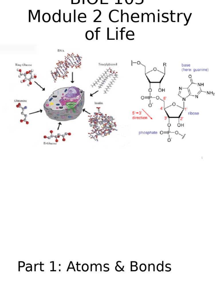 Module 2 Chemistry of Life | PDF | Ion | Dna