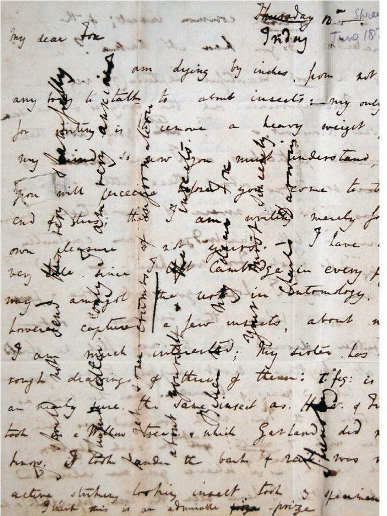 Darwin's-writing_lancet | PDF | Charles Darwin | Inductive Reasoning