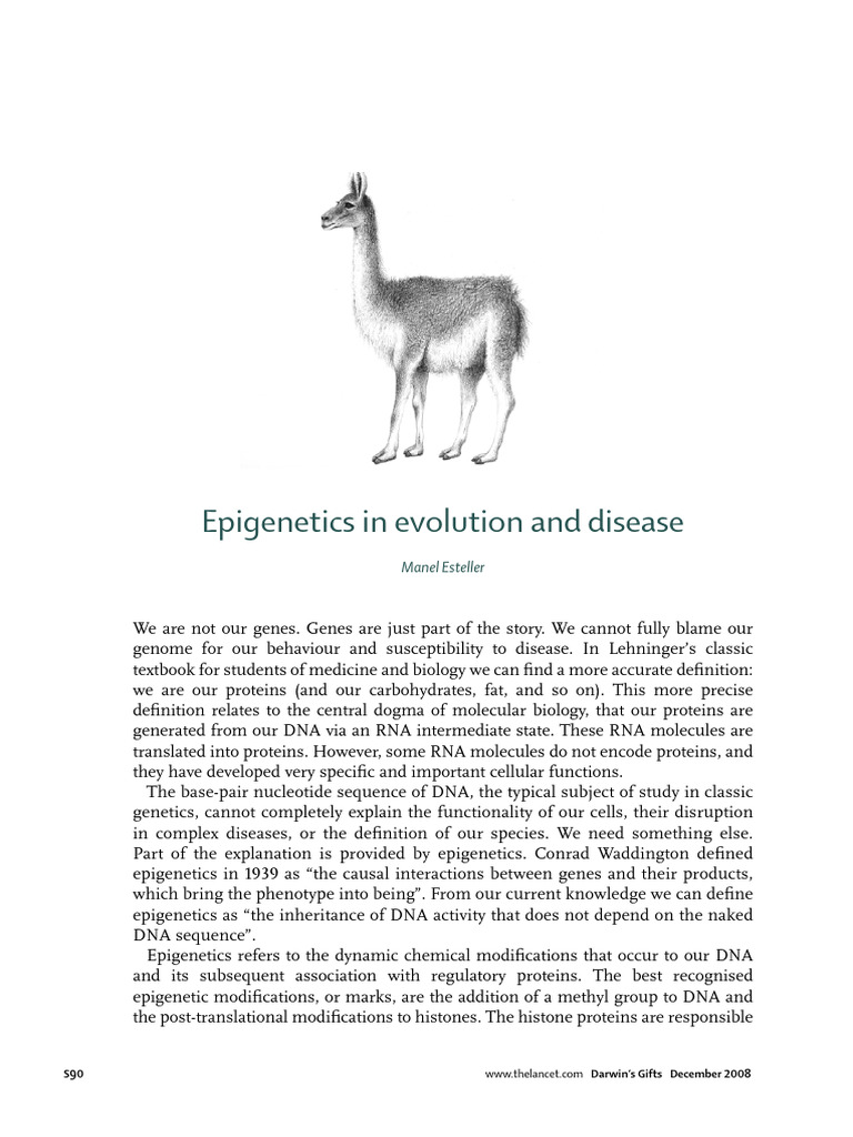 Epigenetics in Evolution and Disease Lancet | PDF | Epigenetics | Dna ...