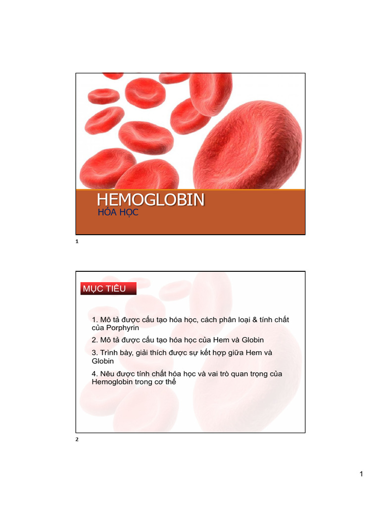 HEMOGLOBIN | PDF