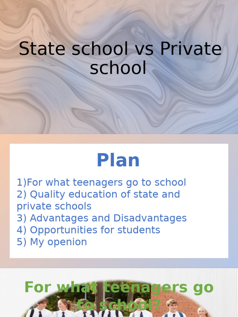 State vs Private Schools: Key Insights | PDF