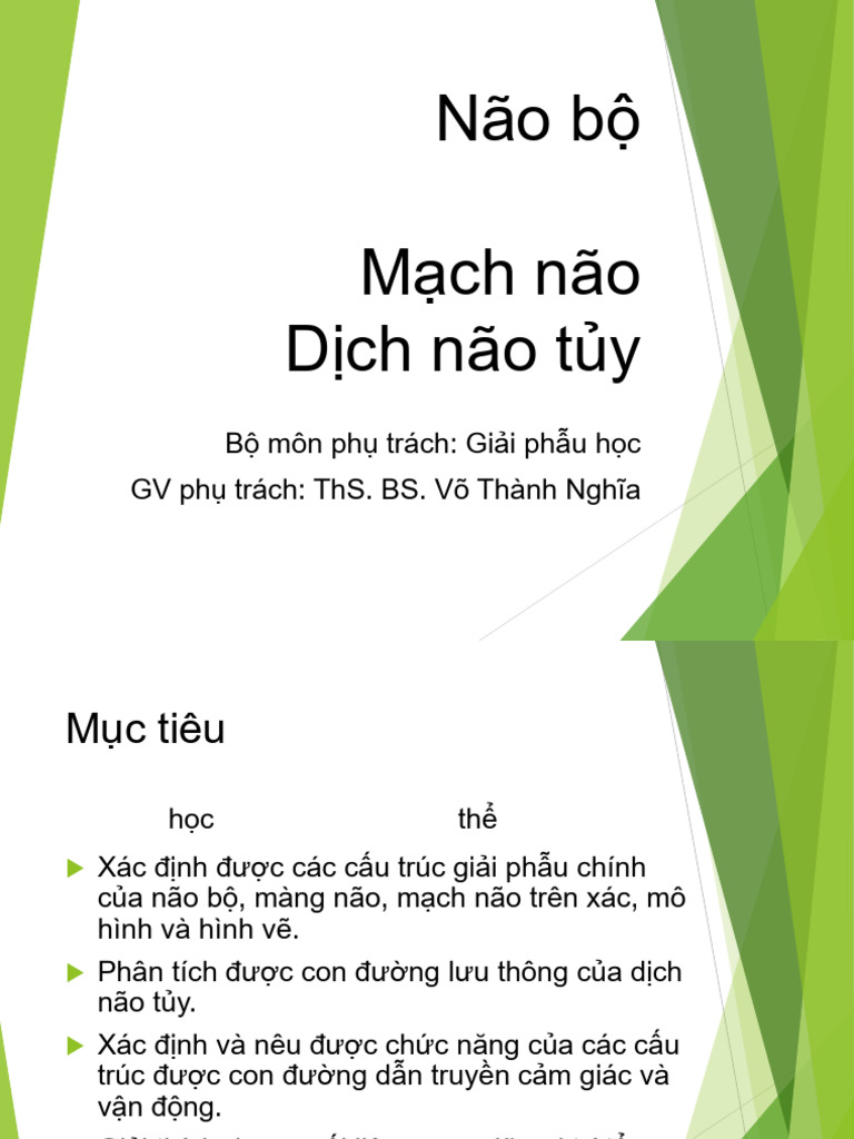 TT Up Web - Nao Bo - Mang Nao - Nao That | PDF