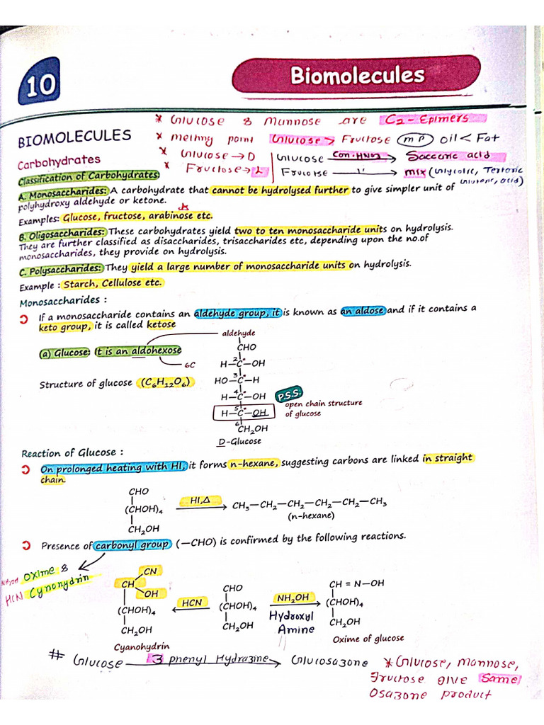 Biomolecules Med Easy | PDF
