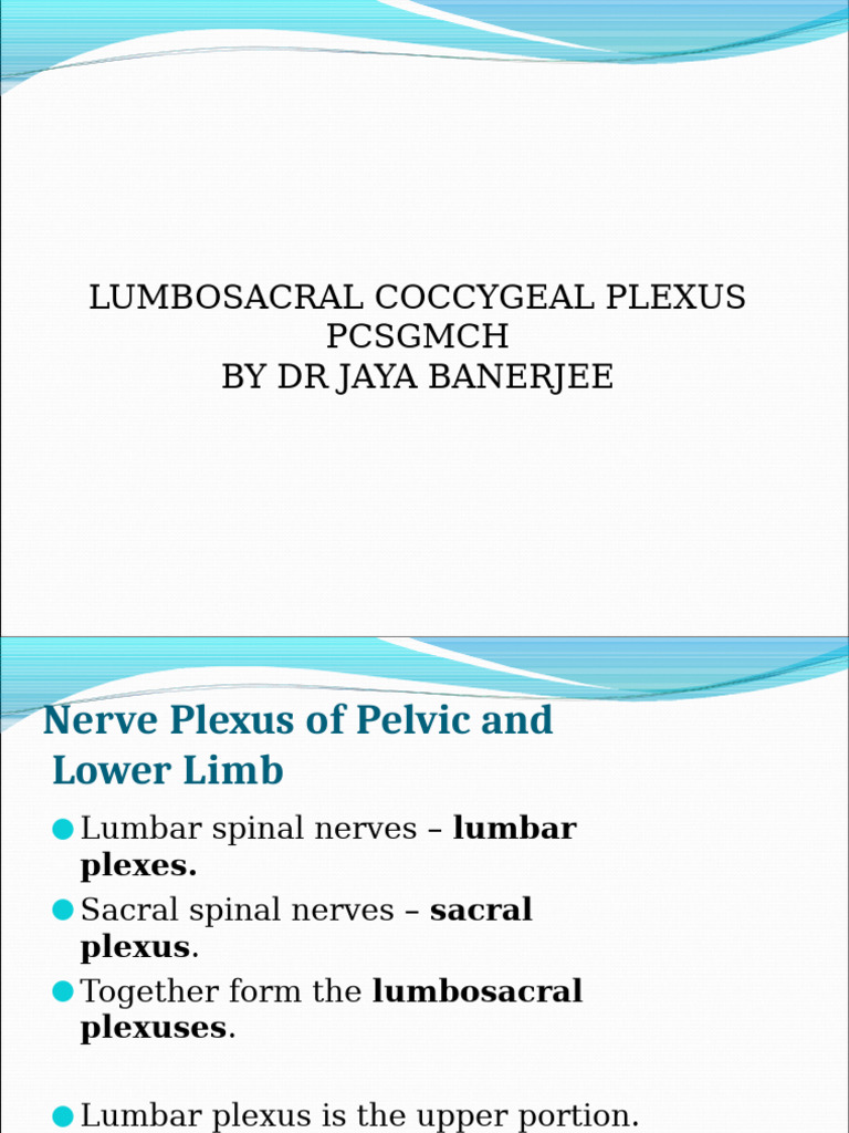 PCSGMC Lumbosacral Plexus | PDF | Human Leg | Foot