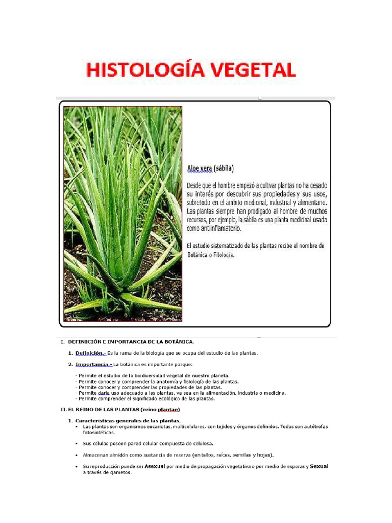 HistologÍa Vegetal | PDF
