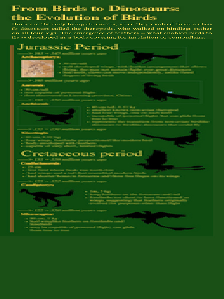 Bird Evolution | PDF