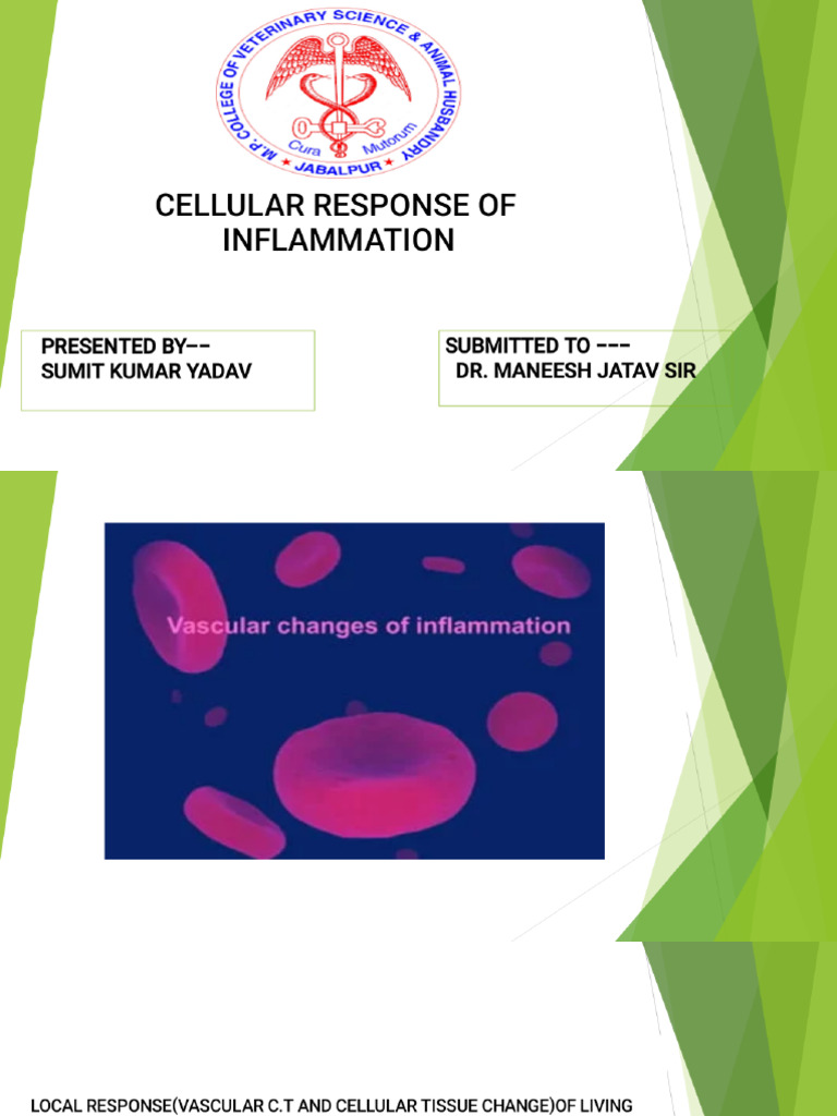 Sumit Assignment | PDF