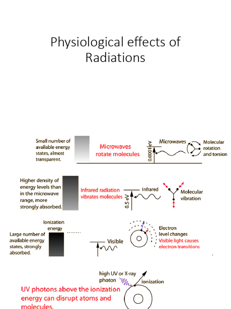 Harmful Effects of Radiation Explained | PDF