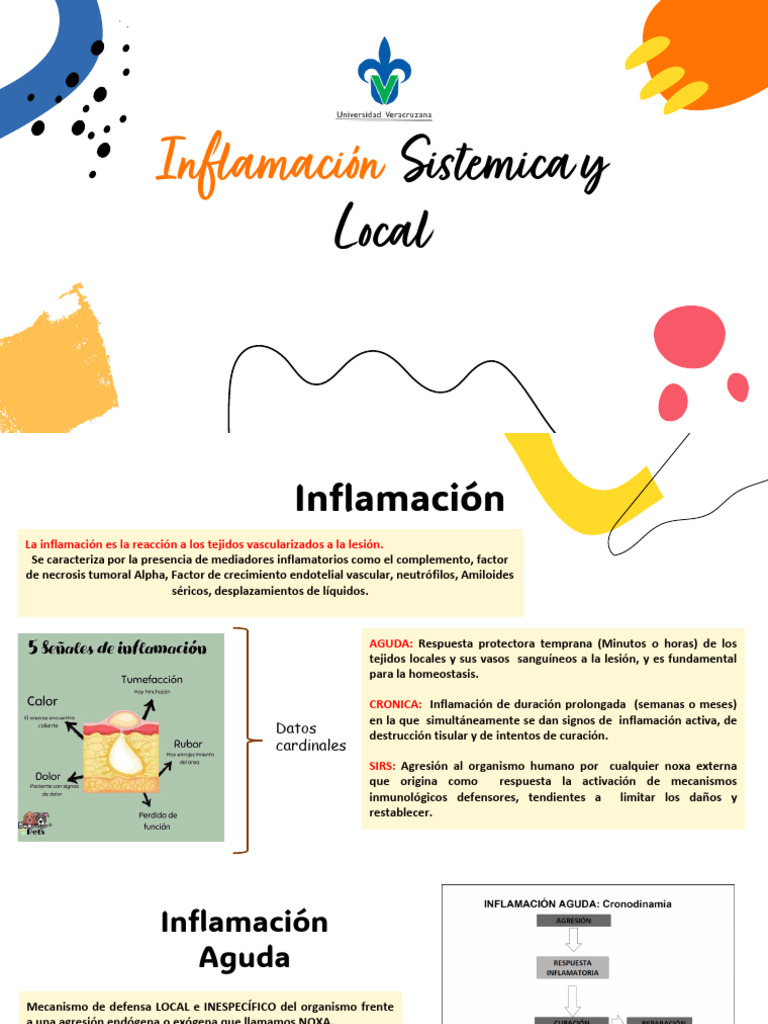 Tipos y Mecanismos de Inflamación | PDF | Inflamación | Citocina