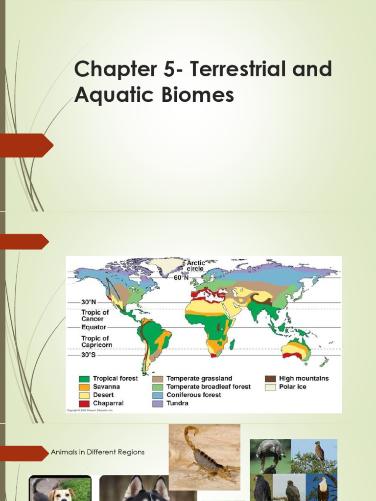 Chapter 5 Terrestrial and Aquatic Biomes | PDF