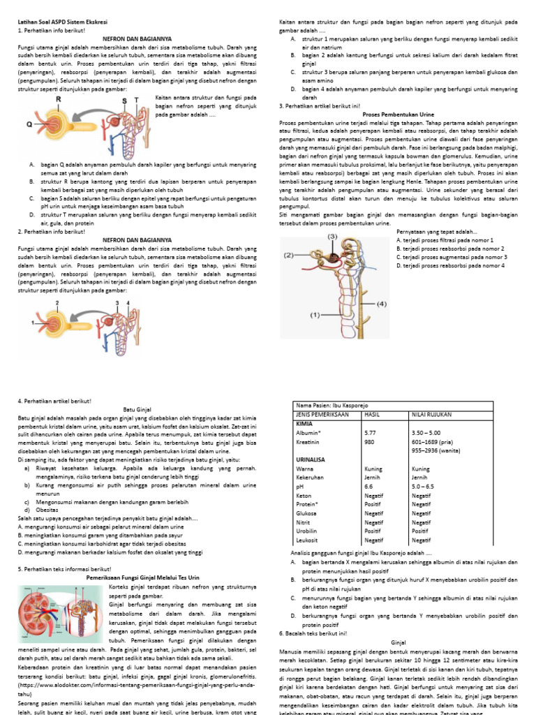 Latihan Soal Sistem Ekskresi | PDF
