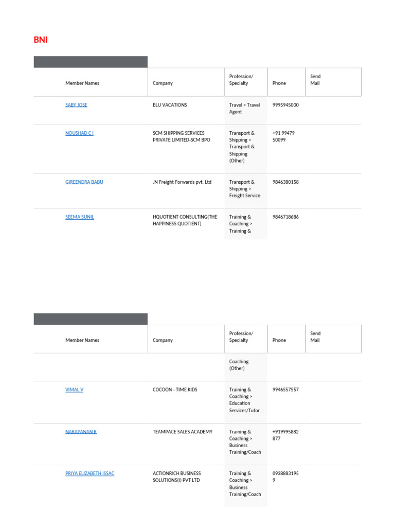 BNI DATA | PDF | Health Care | Business