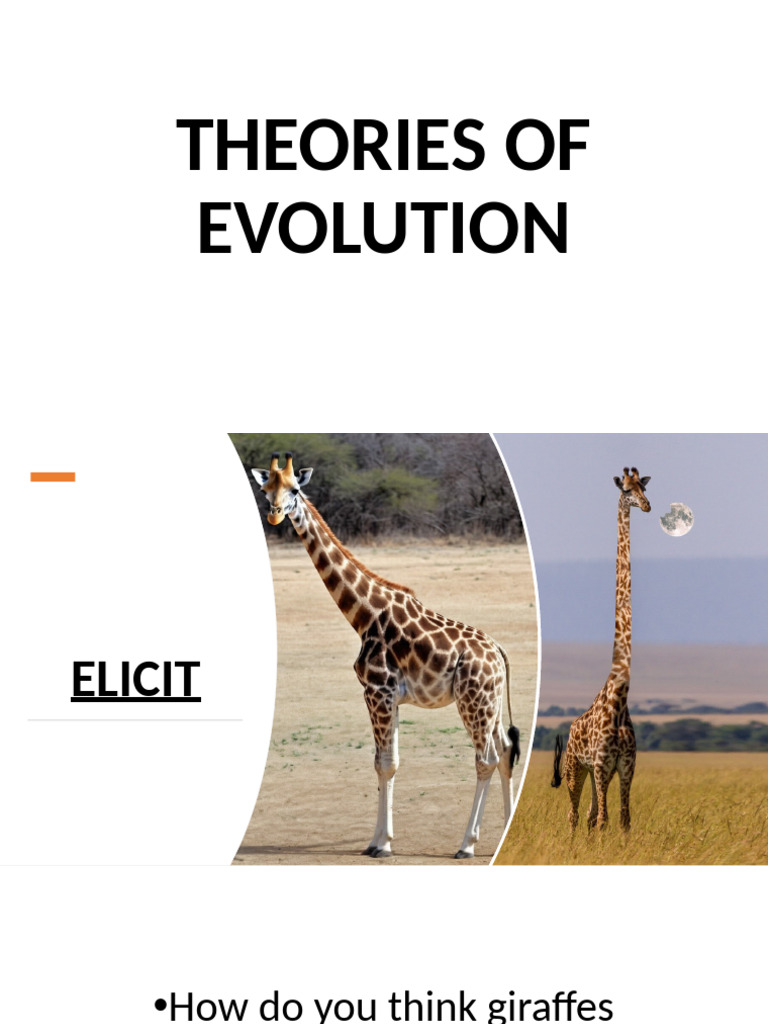 Theories of Evolution | PDF | Natural Selection | Evolution