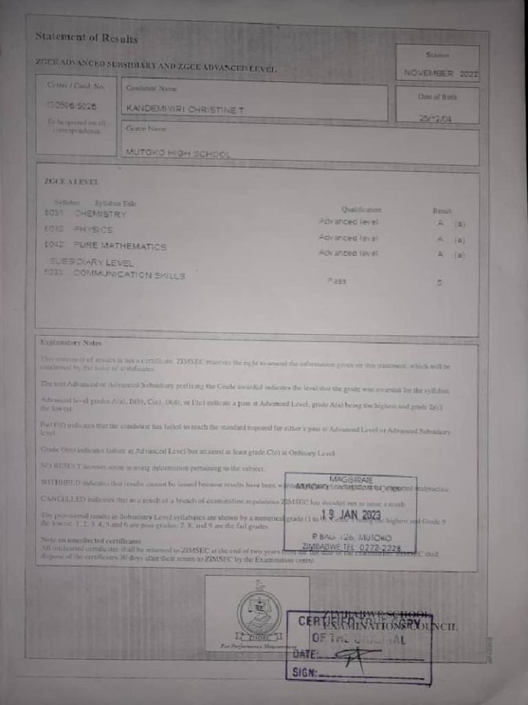 Christine Alevel | PDF