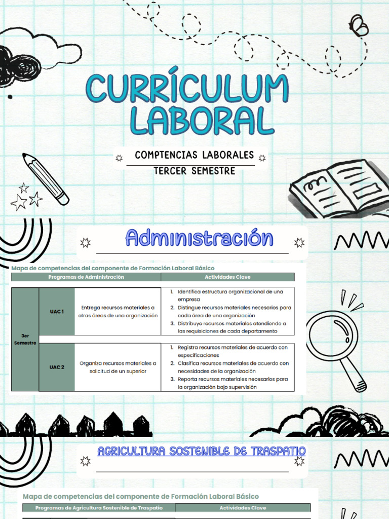 Competencias Currículum Laboral | PDF