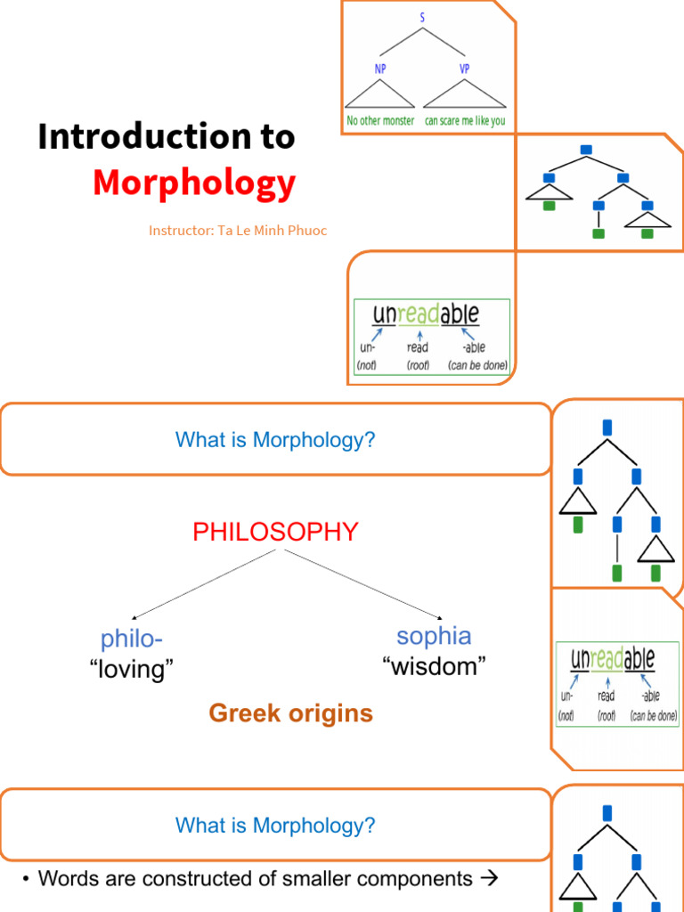 Introduction To Morphology | PDF | Word | Morphology (Linguistics)