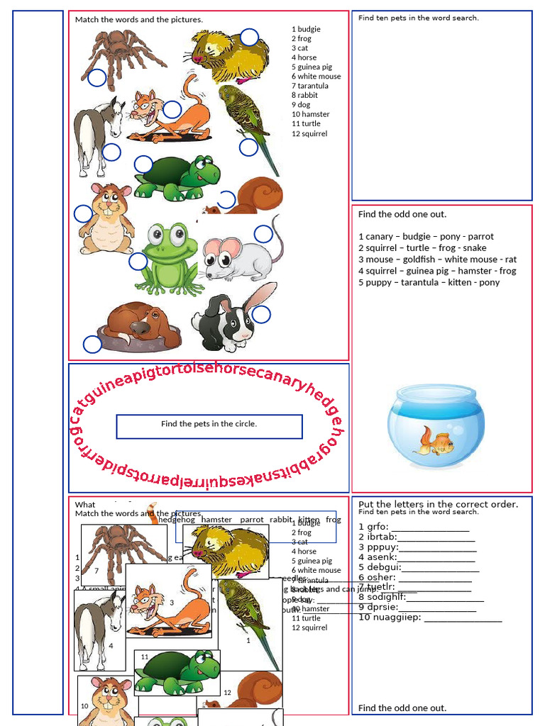 Pets Vocabulary Exercises | PDF | Pet | Zoology