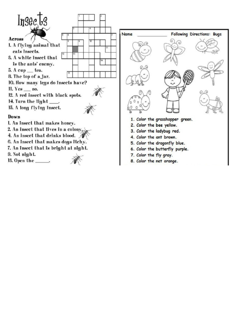 Insects Clasa A IIa 2019 | PDF