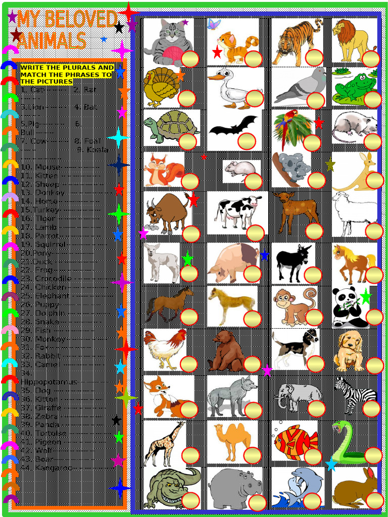 Animal Plurals and Matching Activity | PDF