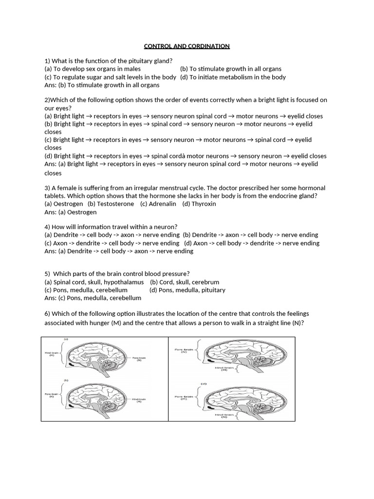 Control and Cordination | PDF | Central Nervous System | Nerve