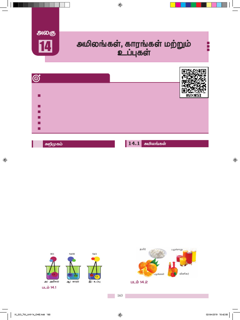Acid and Base Tamil | PDF