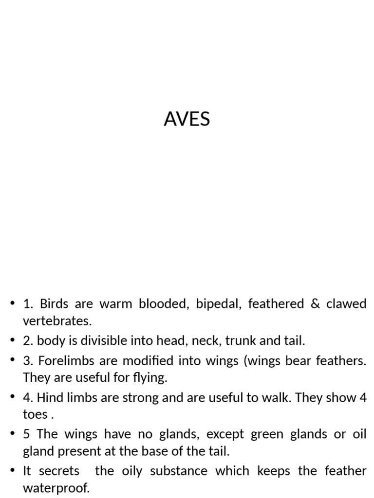 Birds Flight Adaptation | PDF | Zoology