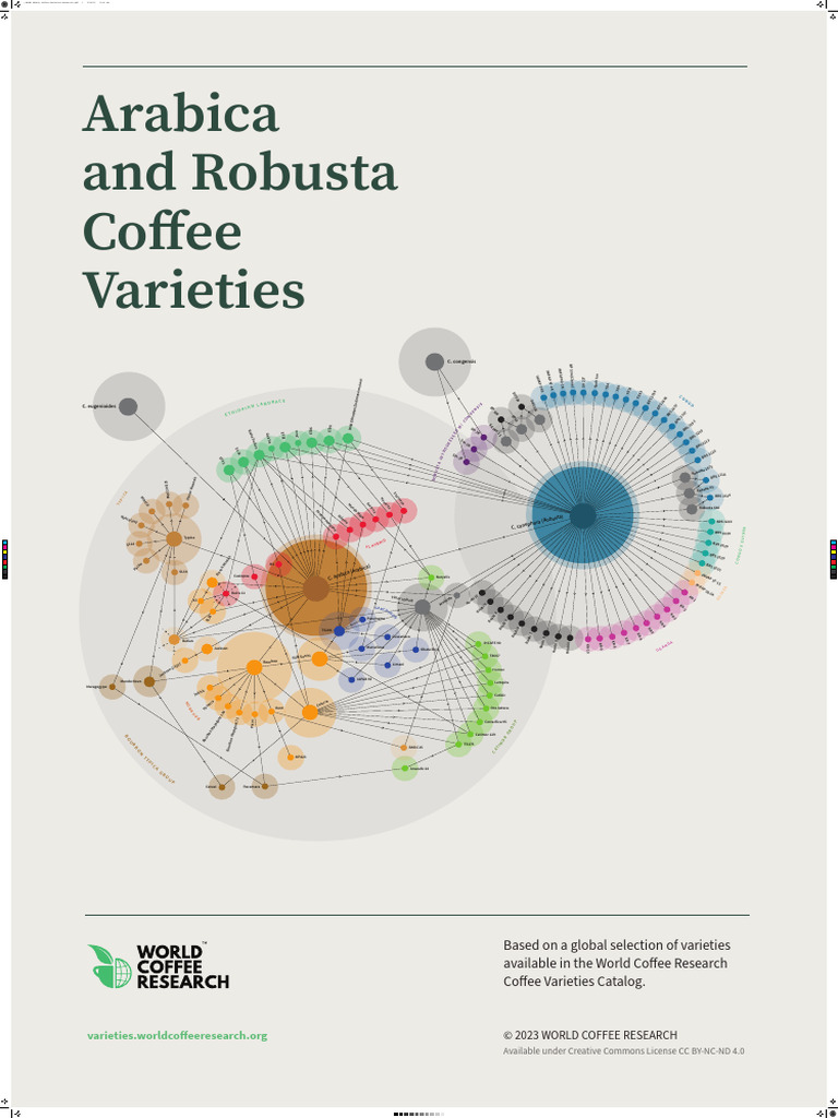 Arabica Robusta Coffee Varieties Poster | PDF | Coffee | Drink