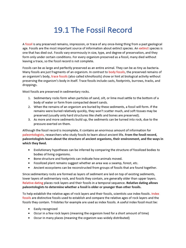 Chapter 19 History of Life Summary | PDF | Prokaryote | Geologic Time Scale
