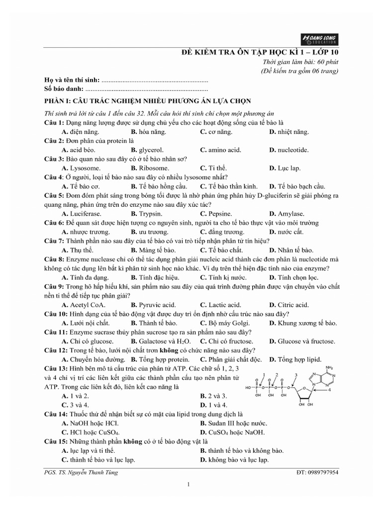B10 Test - Ôn Thi HK I - 2024 Scan | PDF