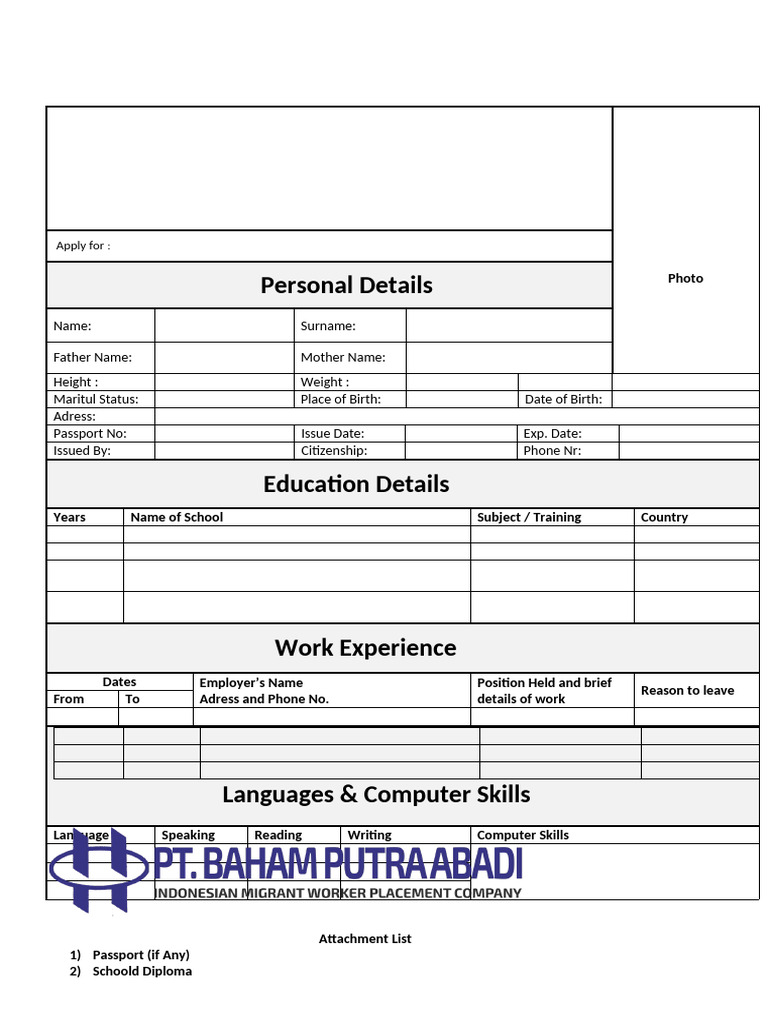 Turkish CV Template Guide | PDF