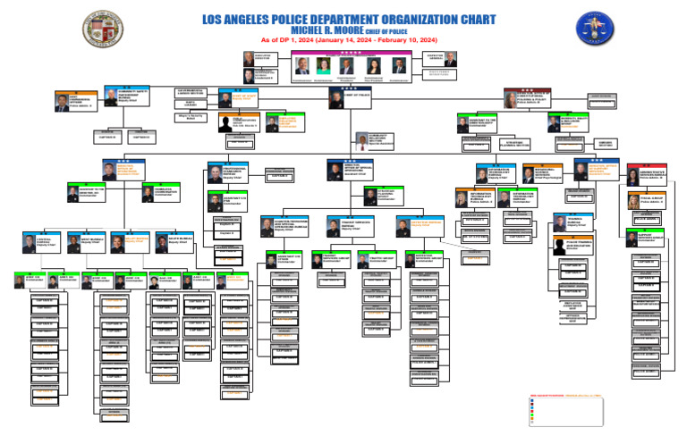 LAPD Organizational Chart 2024 | PDF | Emergency Services | Legal Action