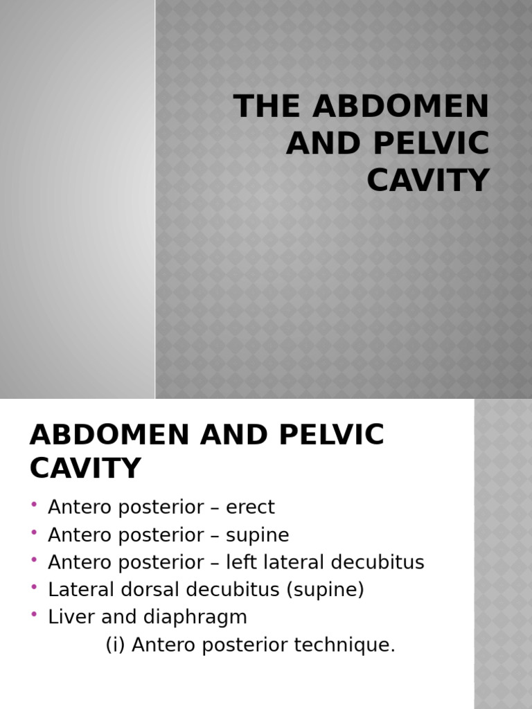 Abdomen | PDF | Abdomen | Pelvis