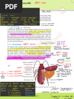 Cockroach Ncert | PDF