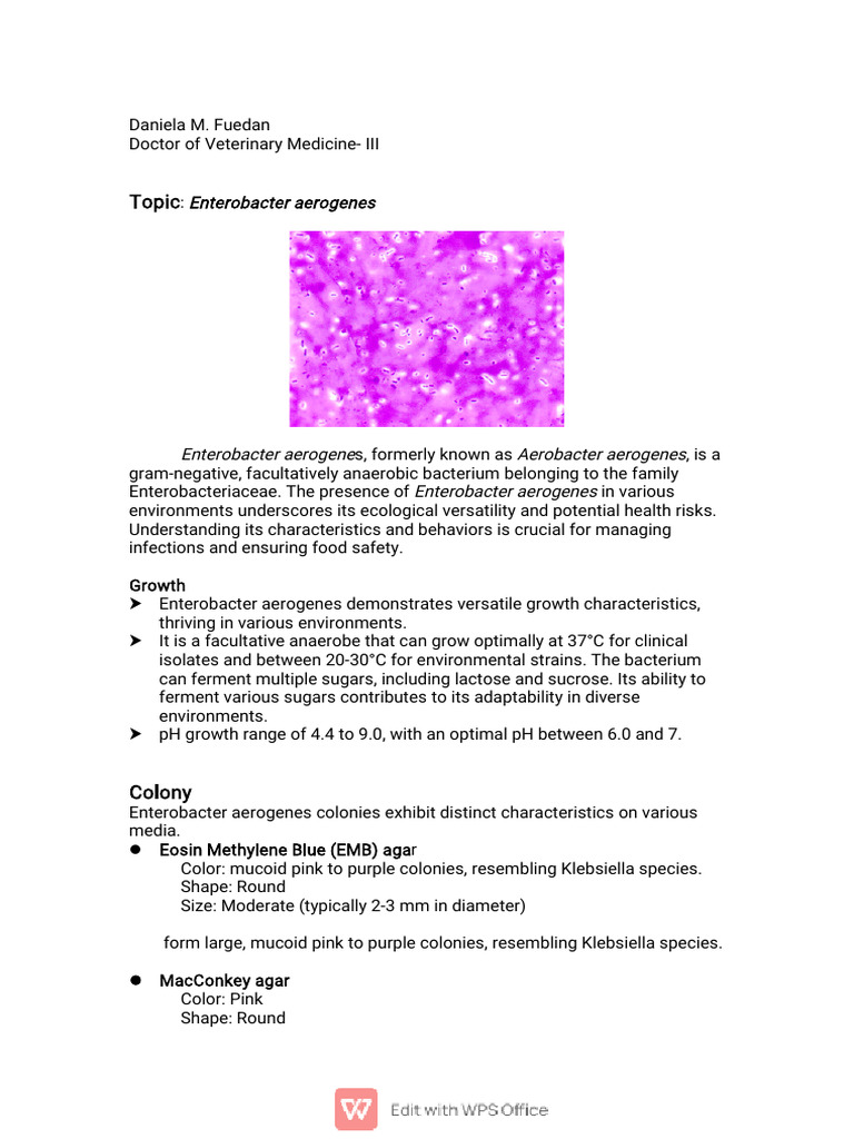 Enterobacter Aerogenes | PDF | Bacteria | Microorganism