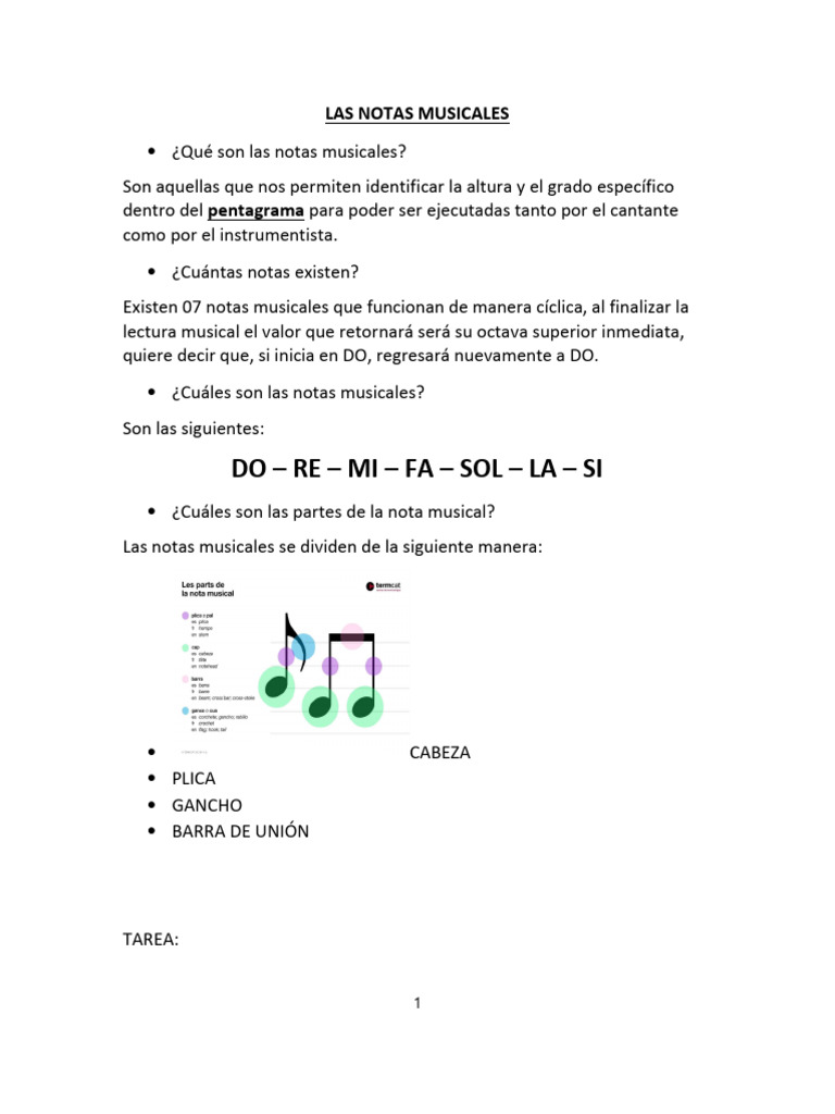 Notas Musicales: Definición y Partes | PDF