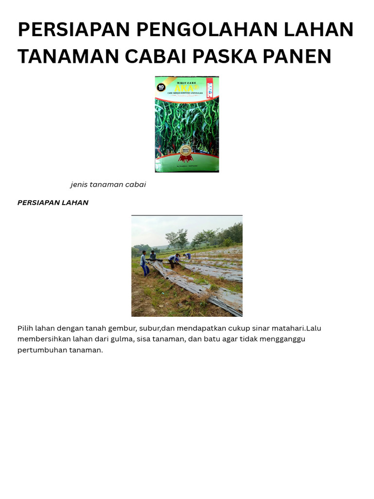 Panduan Persiapan Lahan Tanaman Cabai | PDF