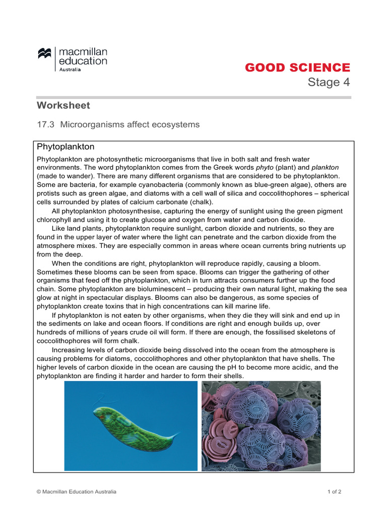 Good Science Stage 4_Worksheet 17.3 Microorganisms Affect Ecosystems ...