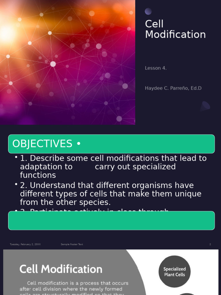 Cell Modifications for Students | PDF