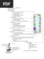 Year 7 Plant Cell Worksheet | PDF