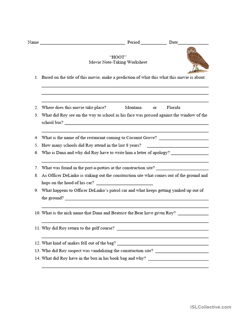 Hoot Movie Study Guide | PDF