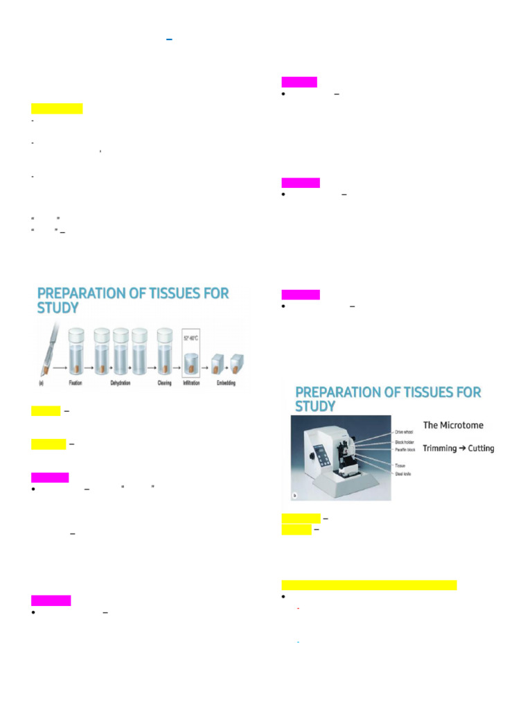 Introduction to Human Histology Basics | PDF | Microscopy | Microscope
