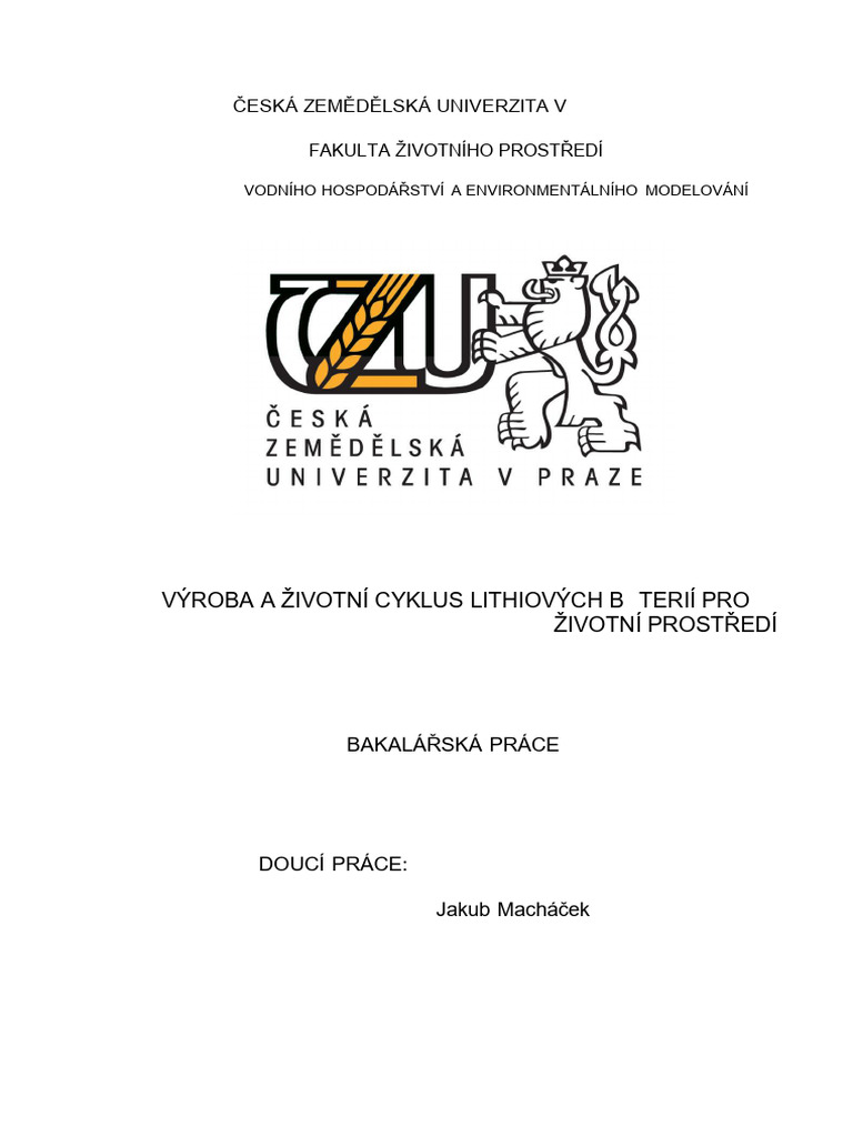 BP_2024_Výroba a Životní Cyklus Litiových Baterií | PDF