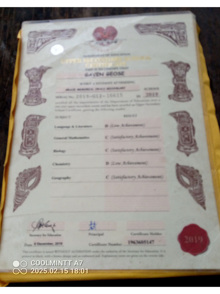 Grade 12 Certificate | PDF