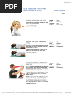 Cervical Isometric Strengthening Guide | PDF