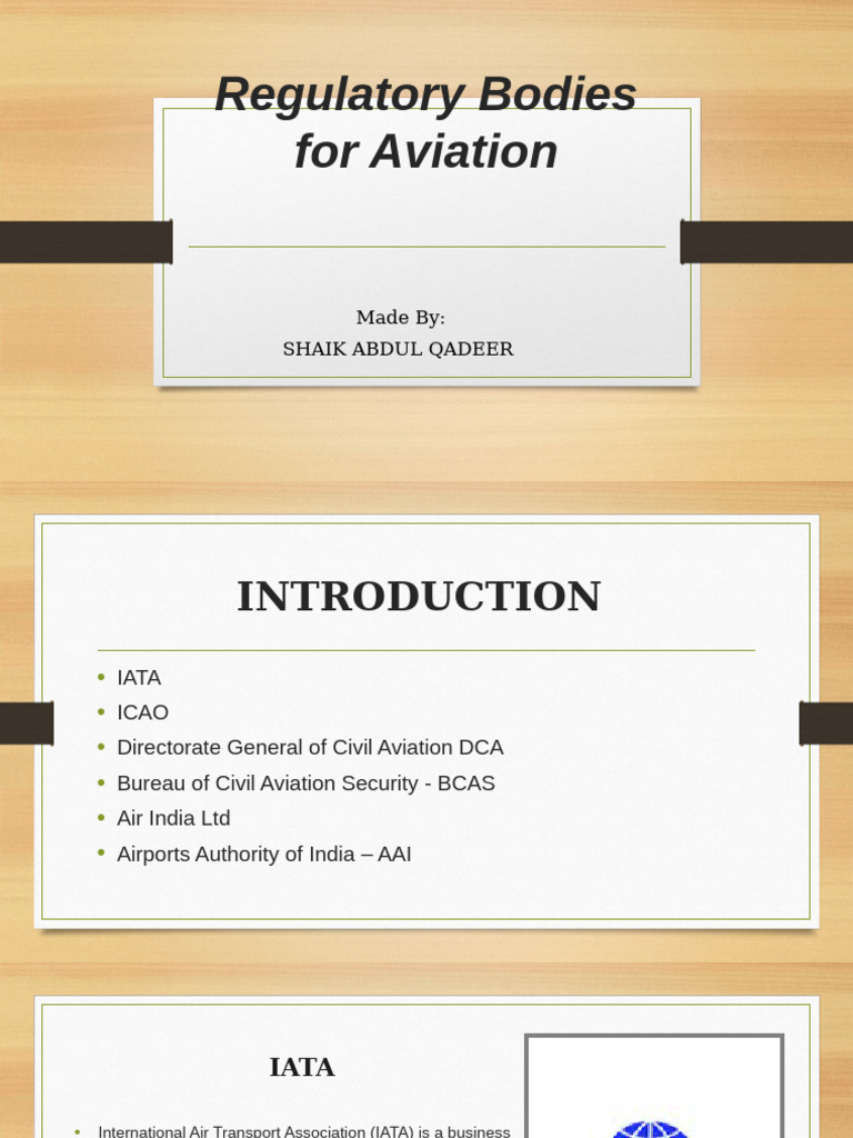 Regulatory Bodies For Aviation | PDF | Civil Aviation | Aviation