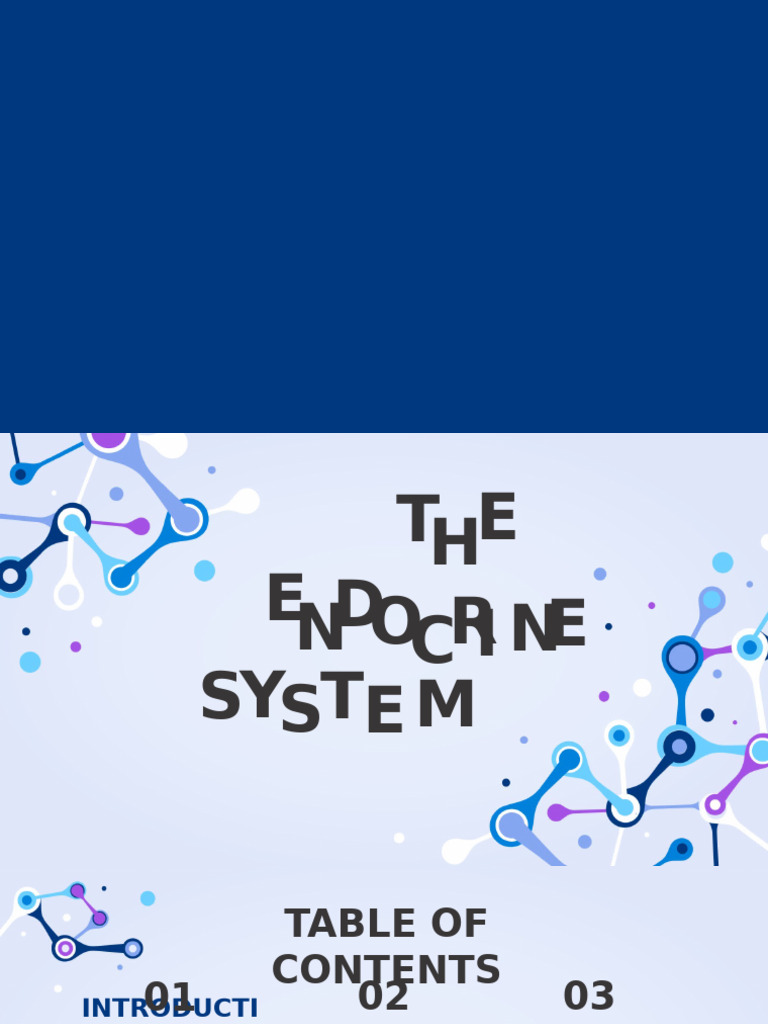 Overview of the Endocrine System | PDF | Endocrine System | Hormone