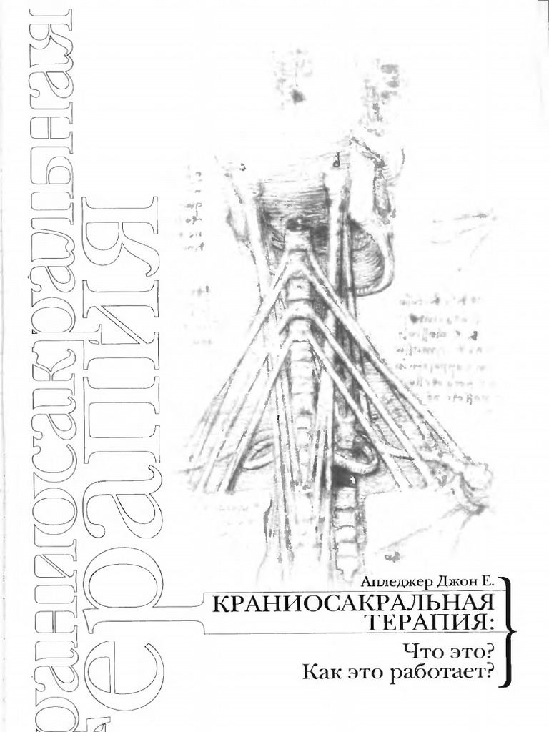 Dzhon E Apledzher Kraniosakralnaya Terapia Chto Eto Kak Eto Rabotaet | PDF
