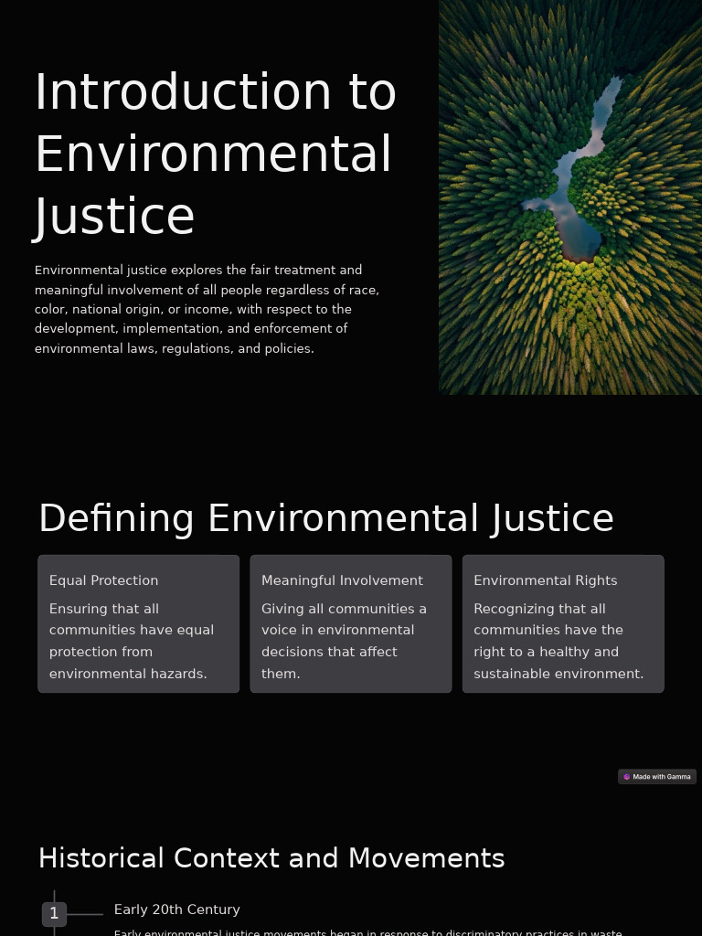 Understanding Environmental Justice Principles | PDF | Superfund ...