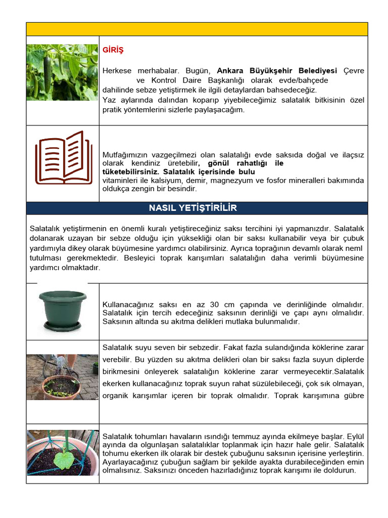55 Salatalik | PDF